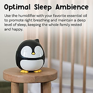 Sweet Dreams 4-in-1 Sleep Machine for Baby, Newborn, Toddlers & Kids – Humidifier with Aroma Diffuser for Nursery, Sound Machine for Sleeping