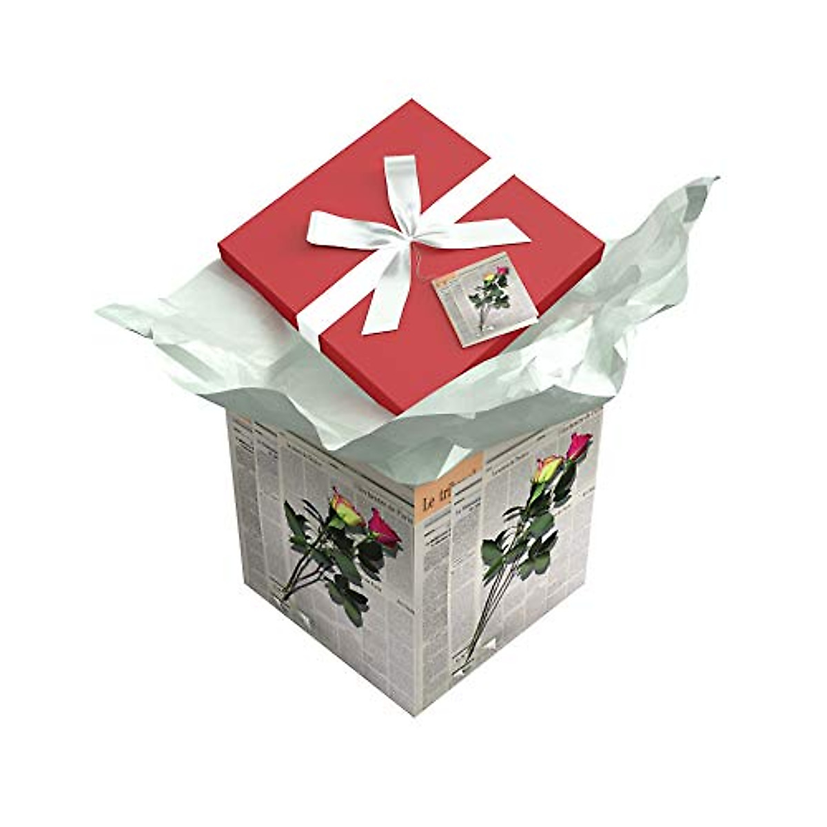 Gift Box 10"X10"X10" - Les Roses Collection - Easy to Assemble & Reusable - No Glue Required - Ribbon, Tissue Paper, and Gift Tag Included - EZ Gift Box by Endless Art US