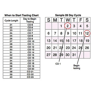 at-Home Early Pregnancy Test Kit | Early Detection 3 Tests Included - Accurate & Easy Response Results
