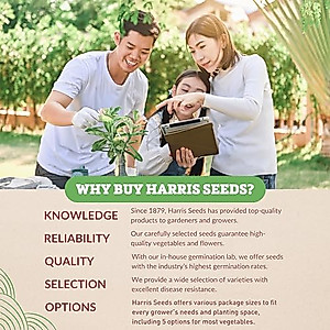 Garden Trends - Pea Seeds - Sugar Sprint Variety - Treated, Non-GMO Vegetable for Outdoor Planting Home Garden - Compact Vines - Edible, Stringless Pods - 100 Seeds