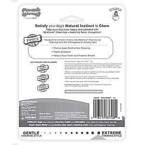 Nylabone Dental Dinosaur Power Chew Durable Dog Toy Small - Up to 25 lbs.