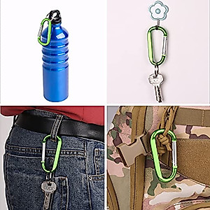 6PCS Carabiner Caribeaner Clip,3" Large Aluminum D Ring Shape Carabeaner Keychain Hook