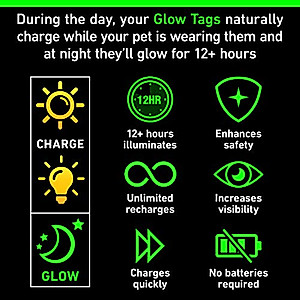GLO-X Dog Glow Tag - Glow in The Dark Cat Tags to Keep Your Pets Safe at Night - 12+ Hours Glow Time - Charges in Daylight - No Batteries Required 1.38” x 1.10” Diameter