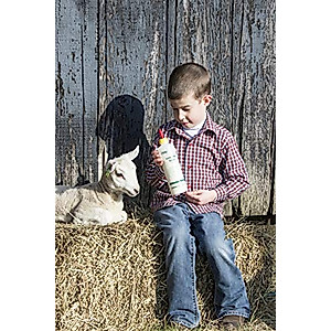 IDEAL 7004 Lamb & Kid Bottle 16oz w/Red Screw-On Teat