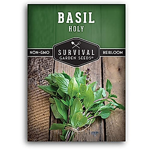 Survival Garden Seeds - Holy Basil Seed for Planting - Packet with Instructions to Plant and Grow The Indian Sacred Herb Tulsi in Your Home Vegetable Garden - Non-GMO Heirloom Variety