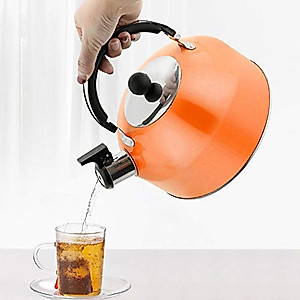 Stainless Steel Tea Kettle Steel Teapot Handle Whistling Tea Pot for Stovetop Home Kitchen Office Tea Coffee Hot Water Pot Teapot