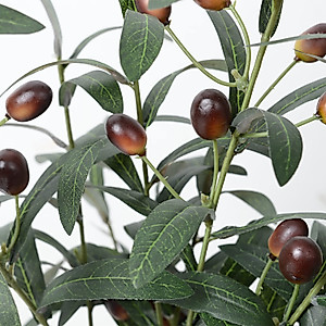 SzJias Olive Branches for Vases Artificial Olive Branches Faux Tree Branches Stems for Vase (3 Branches, 28.7 inch/Each)