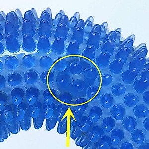 TEHAUX 2Pcs Round Ring Pet Toys TPR Tooth Toys Bite Resistant Dog Molar Teeth Toys Dog Toys (Blue and Green)