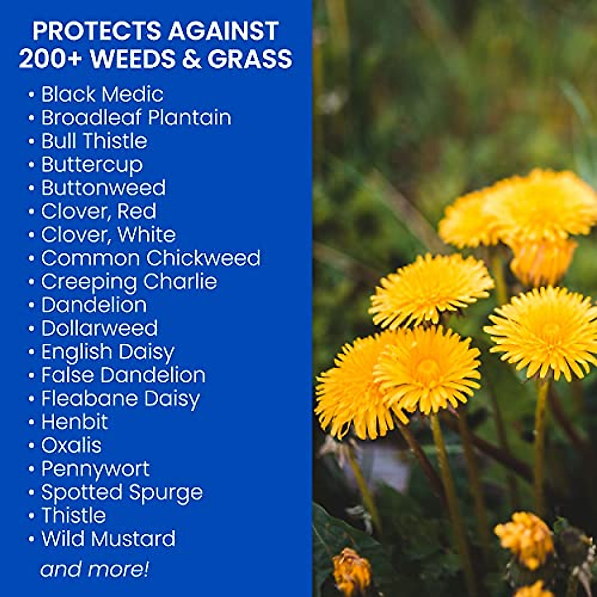 BioAdvanced Lawn Weed Killer, Concentrate, 32 oz