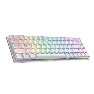 Ranked G65 Guardian 65% | Full Aluminum Frame | Ultra Slim Hot Swappable Mechanical Gaming Keyboard | 68 Keys Multi Color RGB LED Backlit for PC/Mac Gamer (White, Gateron Low Profile Blue)