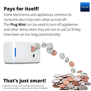YoLink Smart Home Starter Kit: Security & Leak Detection Kit (Hub, Door Sensor, Water Leak Sensor, Plug Mini Compatible with Alexa, LoRa-Powered 1/4 Mile Range