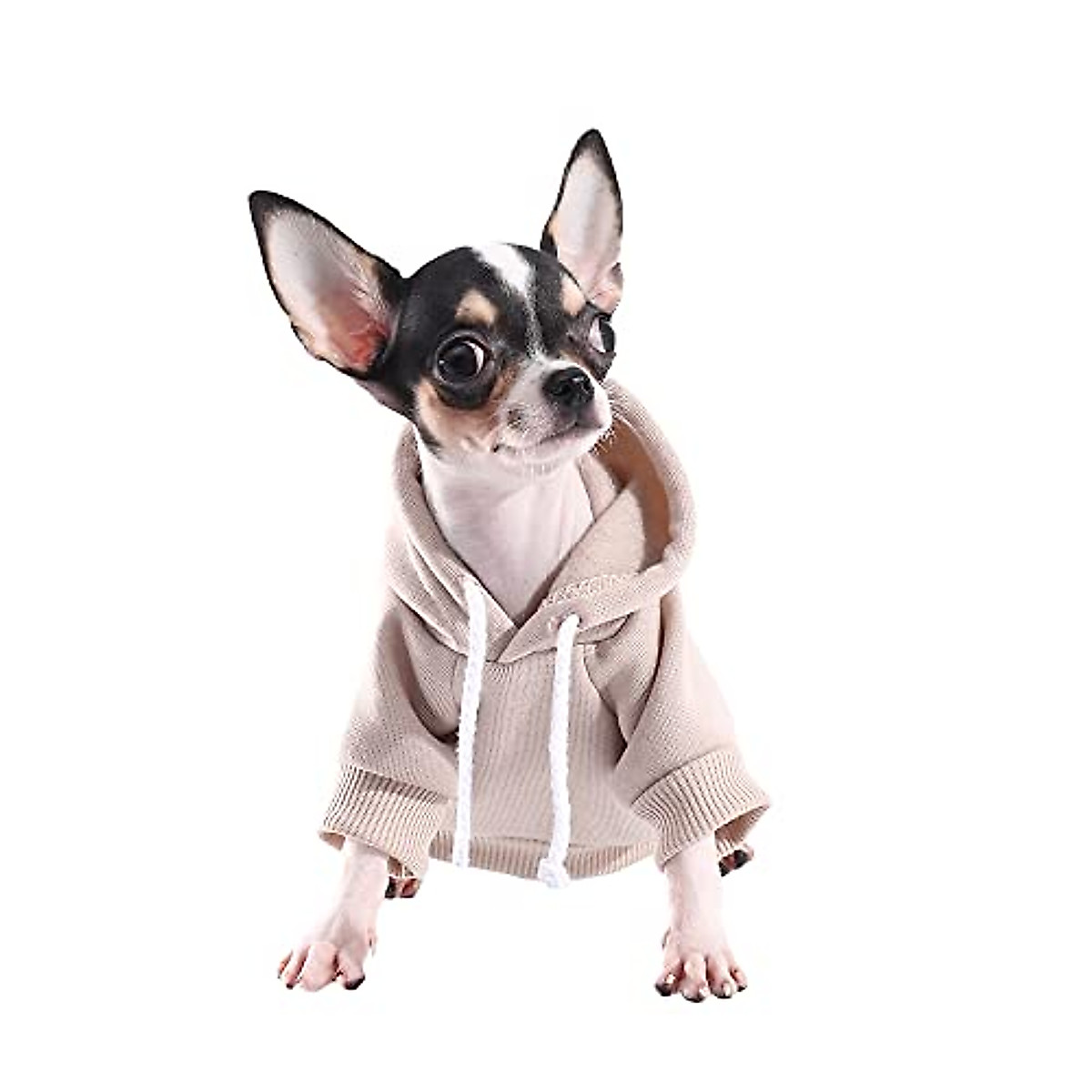 Paiaite Beige Chihuahua Dog Hoodie Winter Small Dog Sweatshirt with Leash Hole Warm Pet Clothes for Puppy Dog Sweater Coat Clothing DOGCH M