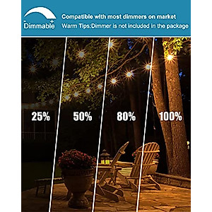Lightdot 200 FT (2x100FT) Outdoor Dimmable Linkable Heavy Duty Led Light String with 60+4(Replaceable) 1.5W Shatterproof LED Bulbs, Hanging Lights for Cafe Bistro Gazebo Garden Backyard - ETL Listed