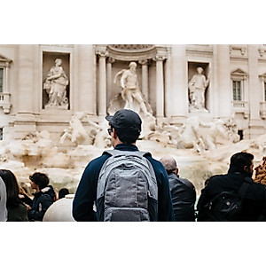 Pacsafe Metrosafe LS450 25 Liter Anti Theft Laptop Backpack - with Padded 15" Laptop Sleeve, Adjustable Shoulder Straps, Patented Security Technology (Black)