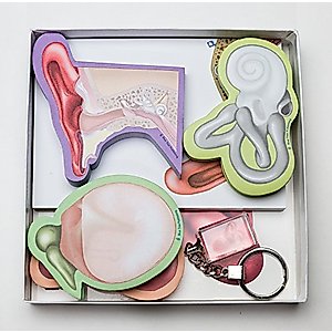 Hearing Gift Box Collection 2, 12 Pack for Audiologist, Students or Hearing Professional