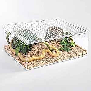 REPTI ZOO Magnetic Acrylic Enclosure, 16x12x6 Inch 5 Gallon Reptile Breeding Box Habitat Terrariums Cage for Tarantula Scorpion Sling Isopods Lizards Roach Invertebrates Spider Snake