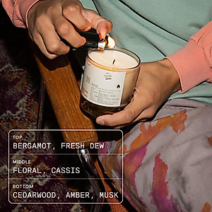 DedCool Massage Soy Wax Candle (01 Taunt, 9 oz | 255 g) Moisturizing Body Oil Candles for Women, Men & Romantic Couples, Sensual Massage Candle for Date Night, Essential Oil, Clean, Non-Toxic