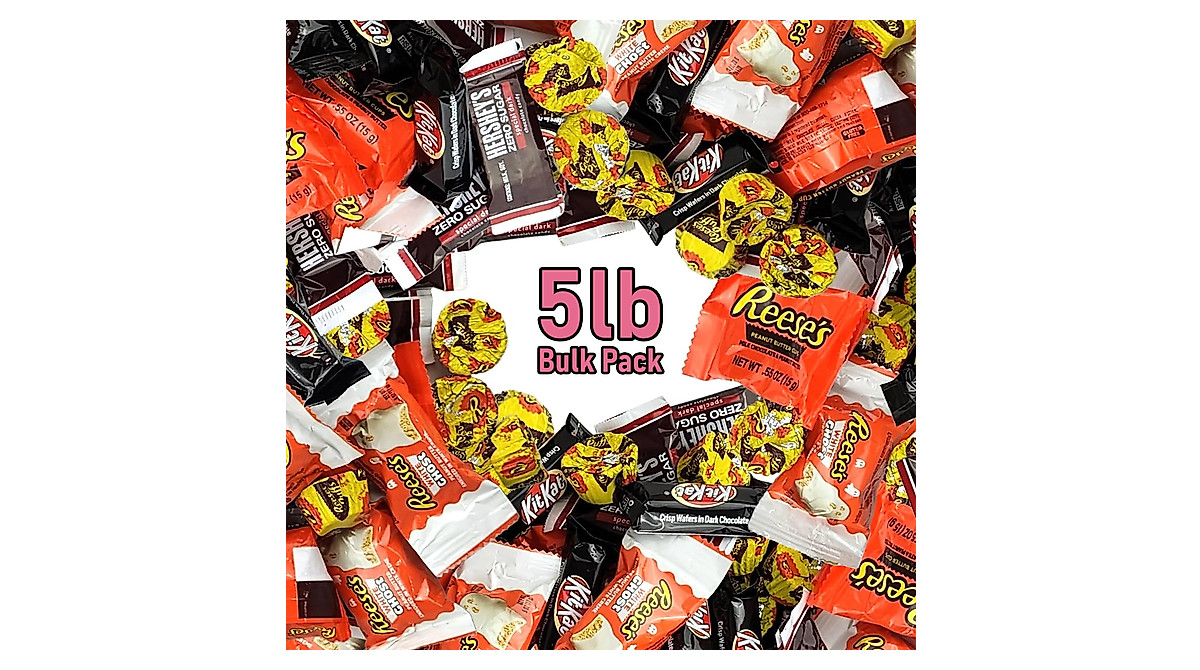 Chocolate Mix, Fun Size Individually Wrapped Holiday Candy Bulk Filled ...