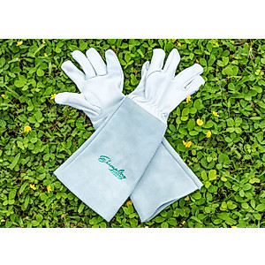 Rose Pruning Gloves for Men and Women - Thorn Proof Goatskin Leather Gardening Gloves with Gauntlet (Extra Large，Natural)