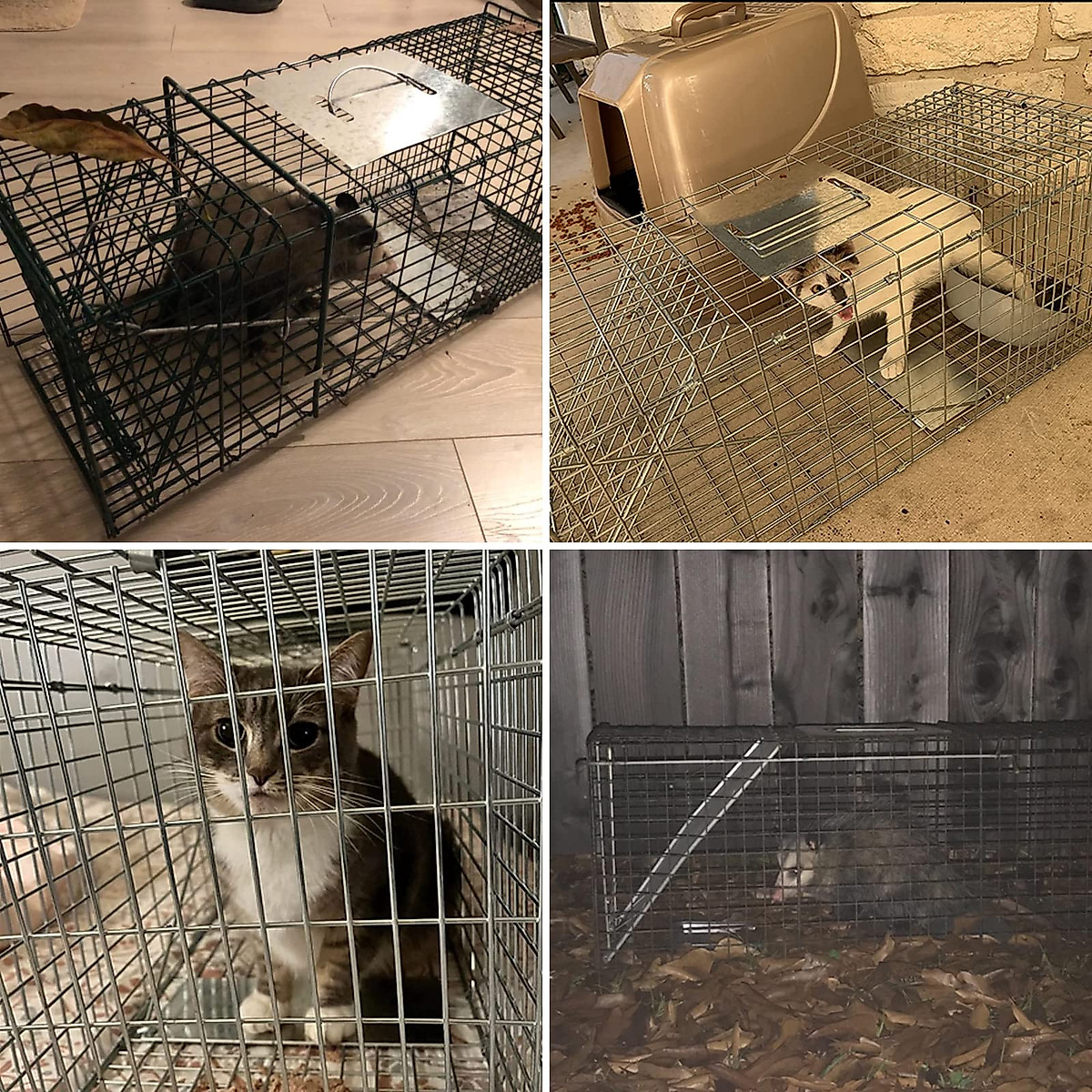 Large Animal Trap for Adult Cat, Rabbit Groundhog Squirrel Raccoon Mole Gopher Chicken Opossum Skunk Chipmunk, 32inch Live Traps for Animals Outdoor Indoor Collapsible Steel Release Animal Cage