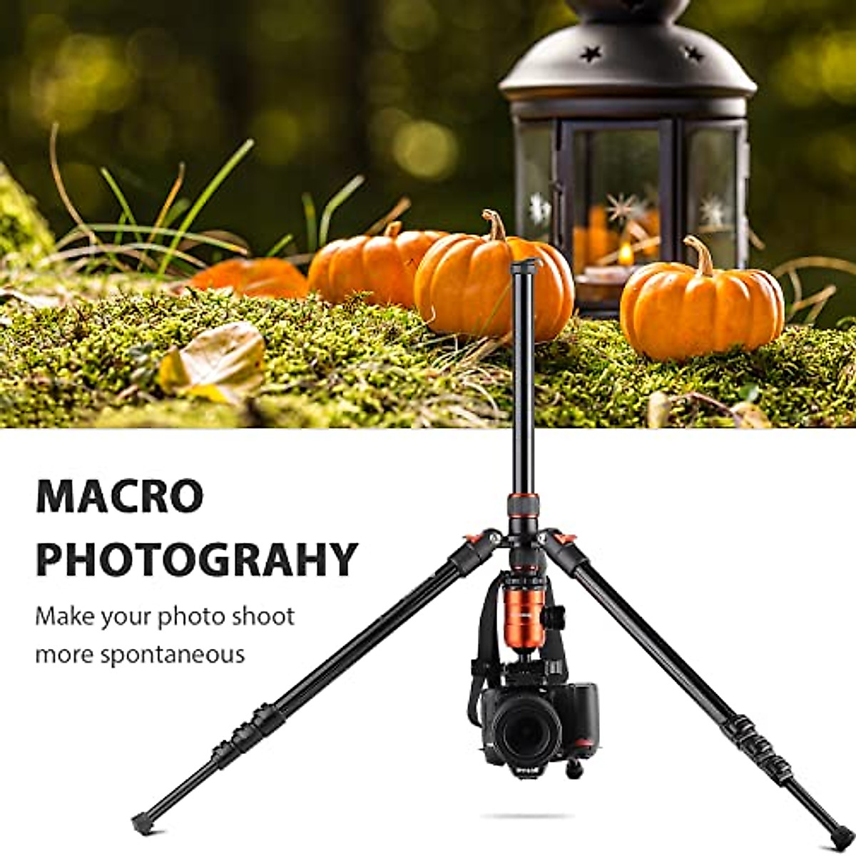 [Upgrade Version] GEEKOTO 77'' Tripod, Aluminum Camera Tripod Monopod, Foldable DSLR Tripod for Travel, Compact Tripod with 360 Panorama Ball Head Quick Release Plate for Travel and Work