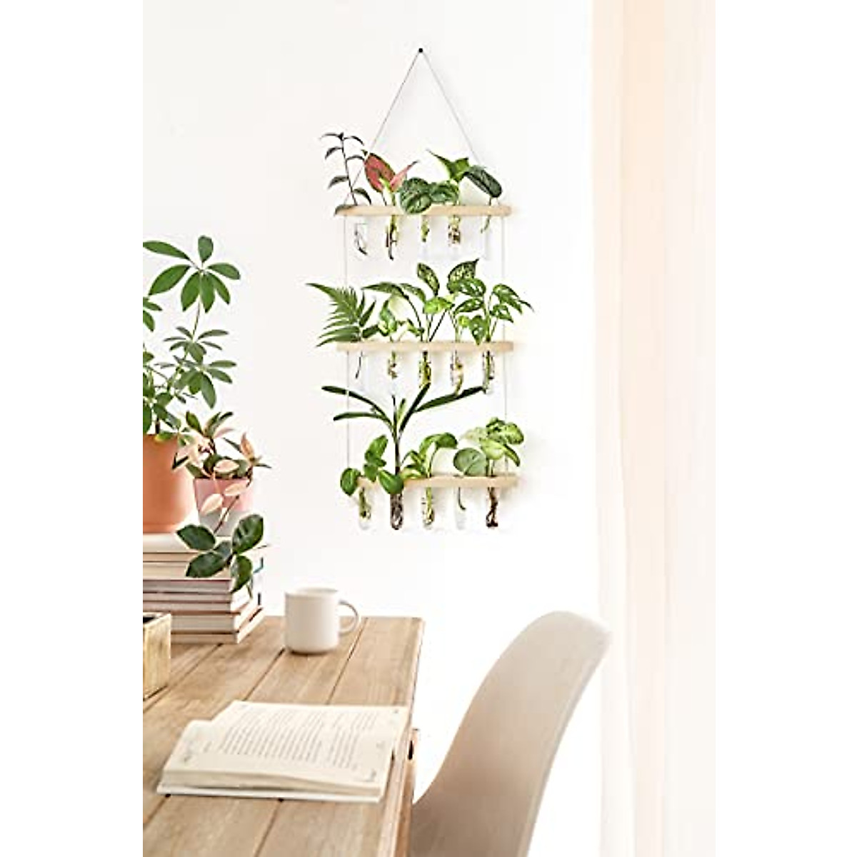 Mkono Plant Propagation Tubes, 3 Tiered Wall Hanging Plant Terrarium with Wooden Stand Mini Test Tube Flower Vase Glass Planter for Hydroponic Plant Cutting Home Garden Office Decor Plant Lover Gift