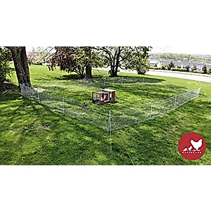 RentACoop Poultry Netting Electric Fence - Electric Poultry Enclosure for Chickens, Ducks, Turkeys - Suitable for 4 Week Old Chickens/Older and Adult Poultry - Energizer Not Included - 168' L x 48" H
