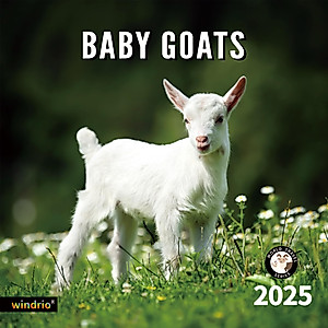 Gag Gift D'ck Pics Nature 2024 Wall Calendar, White Elephants Funny Stone 14 Monthly Calendar 12" x 24" Opened, November 2023 - December 2024,Full Page Thick & Sturdy for Organizing & Planning