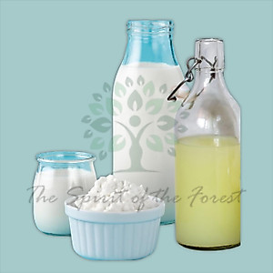 1 SET Milk Kefir Grains Set Starter Culture, Fresh Live Active Probiotic Start your own Kefir Culture at Home, Bulgaros de Leche, Pajaritos, Homemade Kefir Milk