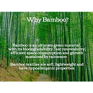 Real Nappy Bamboo Disposable Liners, 200 Count, Unisex