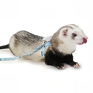 Ferret Harness and Leash - Soft Mesh Small Pet Harness with Wings and Safe Bell, No Pull Comfort Padded Vest for Ferret, Guinea Pigs, Chinchilla and Similar Small Animals (3 Pack)