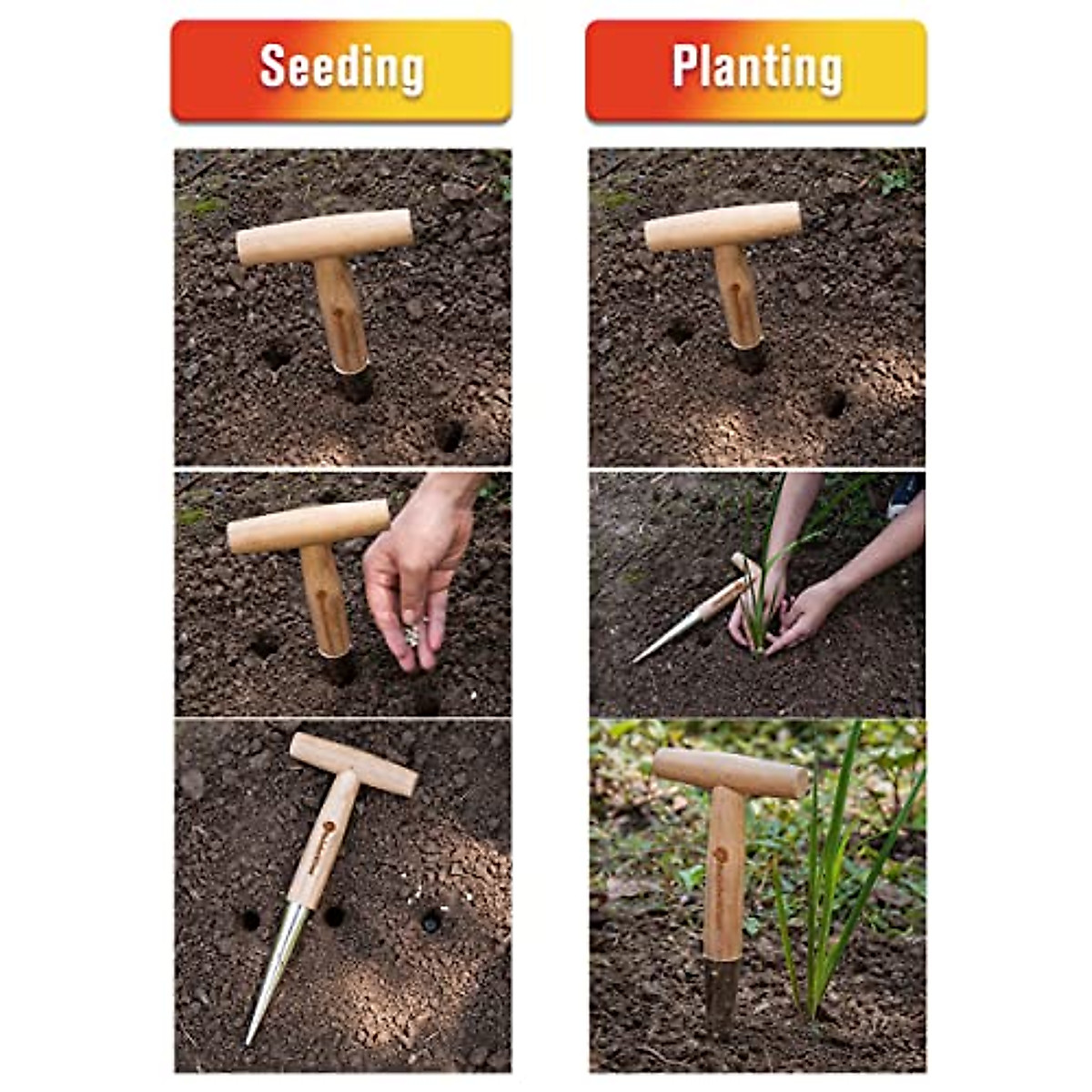 RainboWiner Garden Hand Dibber with Measurements, Bulb Planter Tool - 11 Inch Wooden Handle Stainless Steel Handheld Gardening Dibbler for Garlic Tulip Daffodil Vegetable Seed Planting