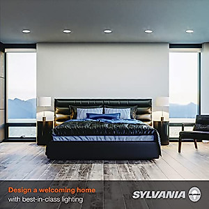 LEDVANCE Sylvania PAR20 LED Flood Light Bulb, 50W = 7W, Dimmable, 13 Year, Medium Base, 550 Lumens, Wet-Rated, 5000K, Daylight - 2 Pack (40400)