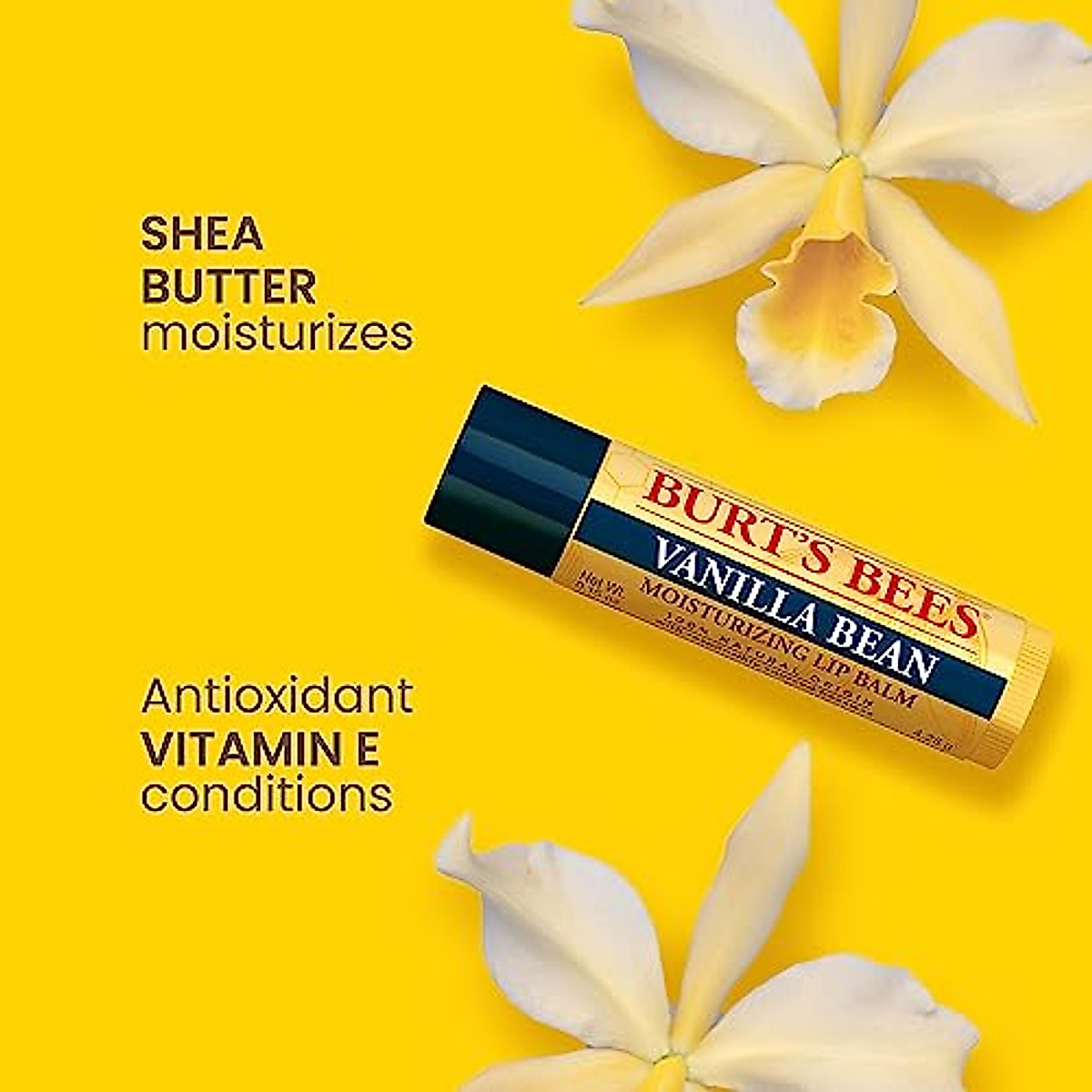 Burt's Bees Lip Balm Mothers Day Gifts for Mom - Vanilla Bean, Lip Moisturizer With Responsibly Sourced Beeswax, Tint-Free, Natural Conditioning Lip Treatment, 2 Tubes, 0.15 oz.