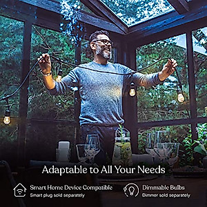 Brightech Ambience Pro Outdoor String Lights - Commercial Grade Waterproof Patio Lights with 48 Ft Dimmable Incandescent Edison Bulbs, Porch String Lights For Patio, Backyard, Christmas - 15 Bulbs 11W