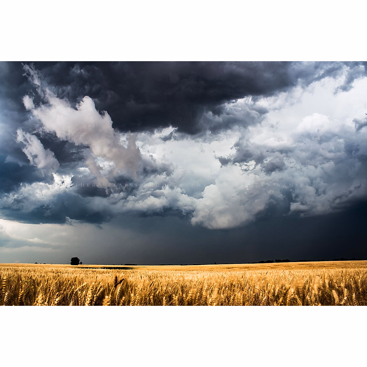 Country Photography Print (Not Framed) Picture of Storm Clouds Gathering Over Golden Wheat Field on Spring Day in Kansas Western Wall Art Farmhouse Decor (11" x 14")