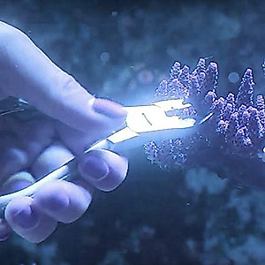DR Instruments 10FK Ultimate Coral Fragging and Coral Propagation Kit for Reef Hobbyists - 19 Pcs, Rollup case, Stainless Steel Instruments