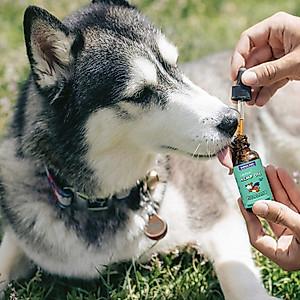 WONDER PAWS Organic Hemp Oil for Dogs – 9,000 mg of Hemp Oil with Alaskan Salmon Oil & Omega 3 Fatty Acids - Hemp for Pets, Joint Health, Anxiety Relief, Calming, Skin & Immune – 60 ml Hemp Oil Drops