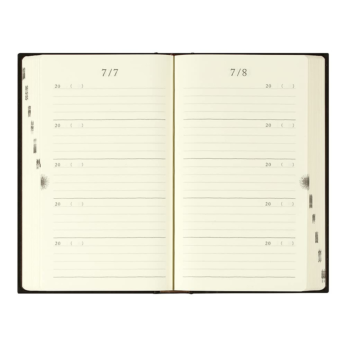 Midori 12396006 Diary for 5 Year Consecutive Use, Door, Black