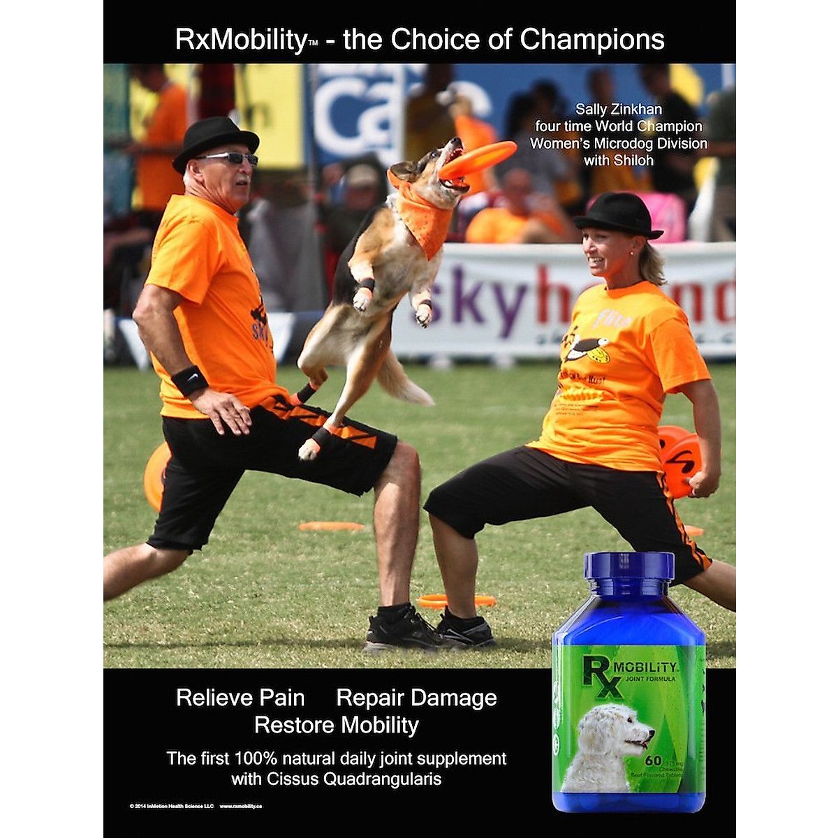 RxMobility Botanical Hip & Joint Supplement with Cissus Quadrangularis - All Natural Formula for Fast Working Pain Relief & Maximum Mobility - for Dogs