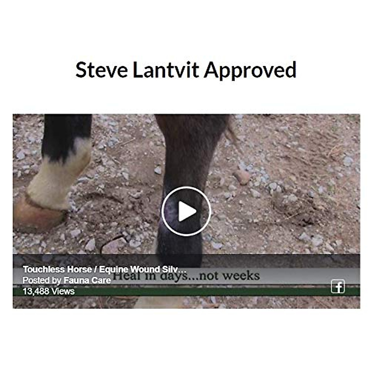 Fauna Care Equine Protect & Condition Spray 4.5 oz to Heal & Soothe Wounds, Cuts, Scrapes, Scratches, Post-Op; Prevent Infection, Irritation, Pain; Veterinarian Recommended Wound Care