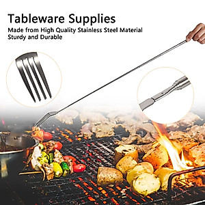 ORULA Telescopic Fork,Extendable Fork,Extending Fork,64cm Long Stainless Steel Retractable Fork Extendable Dinner Fruit Dessert Fork 8.7~25.4in