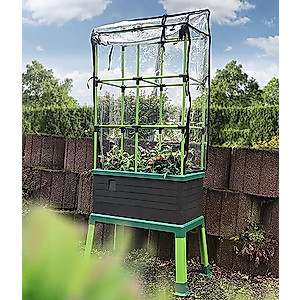 Bio Green JGL-C Greenhouse Compatible with City Jungle Trellis and Heidelberg – Outdoor and Indoor 2 Zippers – Protection Plant Covers – Transparent Design