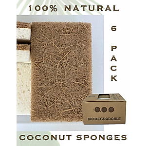 Natural Sponges - 6 Pack of EcoFriendly Biodegradable Coconut Sponges - Multipurpose Kitchen Sponges - by American Kitchen Company ™