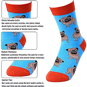 HAPPYPOP Novelty Silly Crazy Little Boys Socks Kids Animal Socks, Funny Gifts for Teen Boys Corgi Gifts 7 to 10 Years