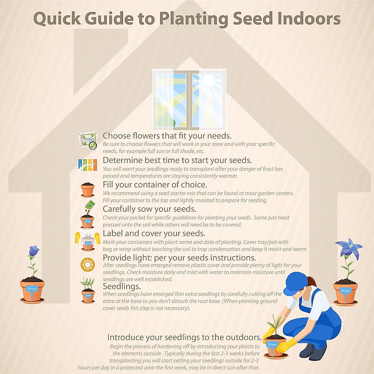 Outsidepride 1000 Seeds Annual Limonium Rose Statice Flower Seeds for Planting