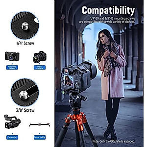 NEEWER Quick Release Plate with Clamp Adapter Set, 120mm QR Plate with Clamp, 3/8"&1/4" Screw, Bubble Level, 3/8” to 1/4” Screw Adapter, Compatible with Arca Swiss Tripod Monopod Ball Head