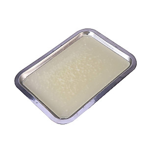 3pcs Wax Dissecting Tray Stainless Steel Thicken Dissection Pan Biological Equipment for Junior Senior Laboratory