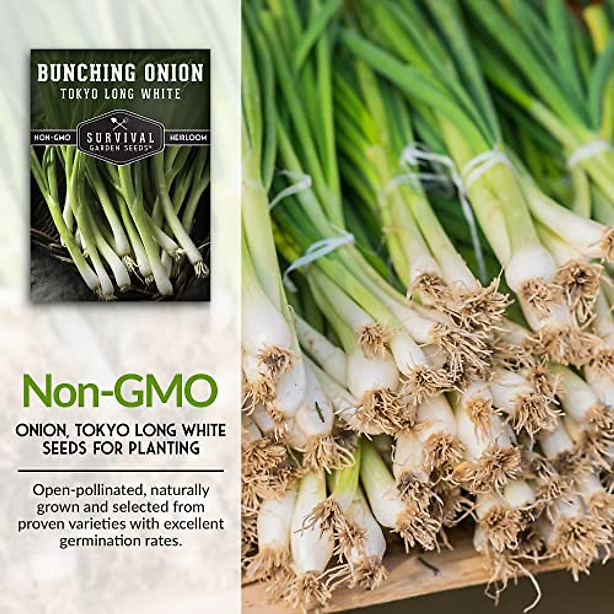 Survival Garden Seeds - Tokyo Long White Onion Seed for Planting - Pack with Instructions to Plant and Grow Asian Green Onions in Your Home Vegetable Garden - Non-GMO Heirloom Variety