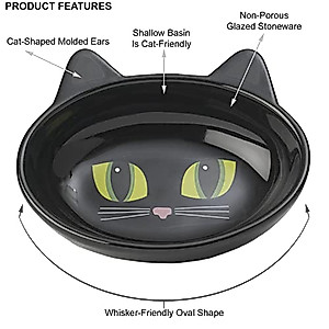 PetRageous 10011 Oval Frisky Kitty Stoneware Cat Bowl 5.5-Inch Wide and 1.5-Inch Tall Saucer with 5.3-Ounce Capacity and Dishwasher Safe is Great for Cats, Black